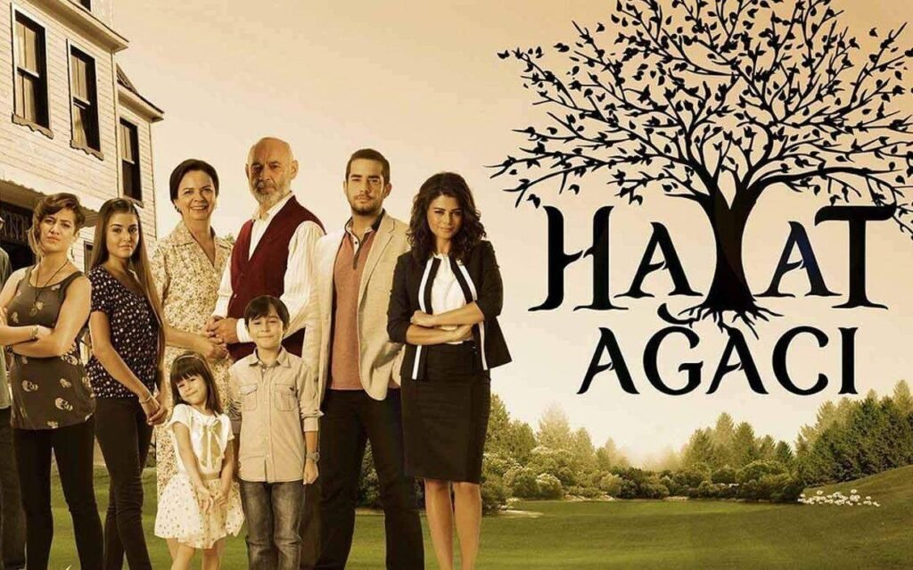 All Hande Ercel TV Series Ranked from Worst to Best | Turkish Actors